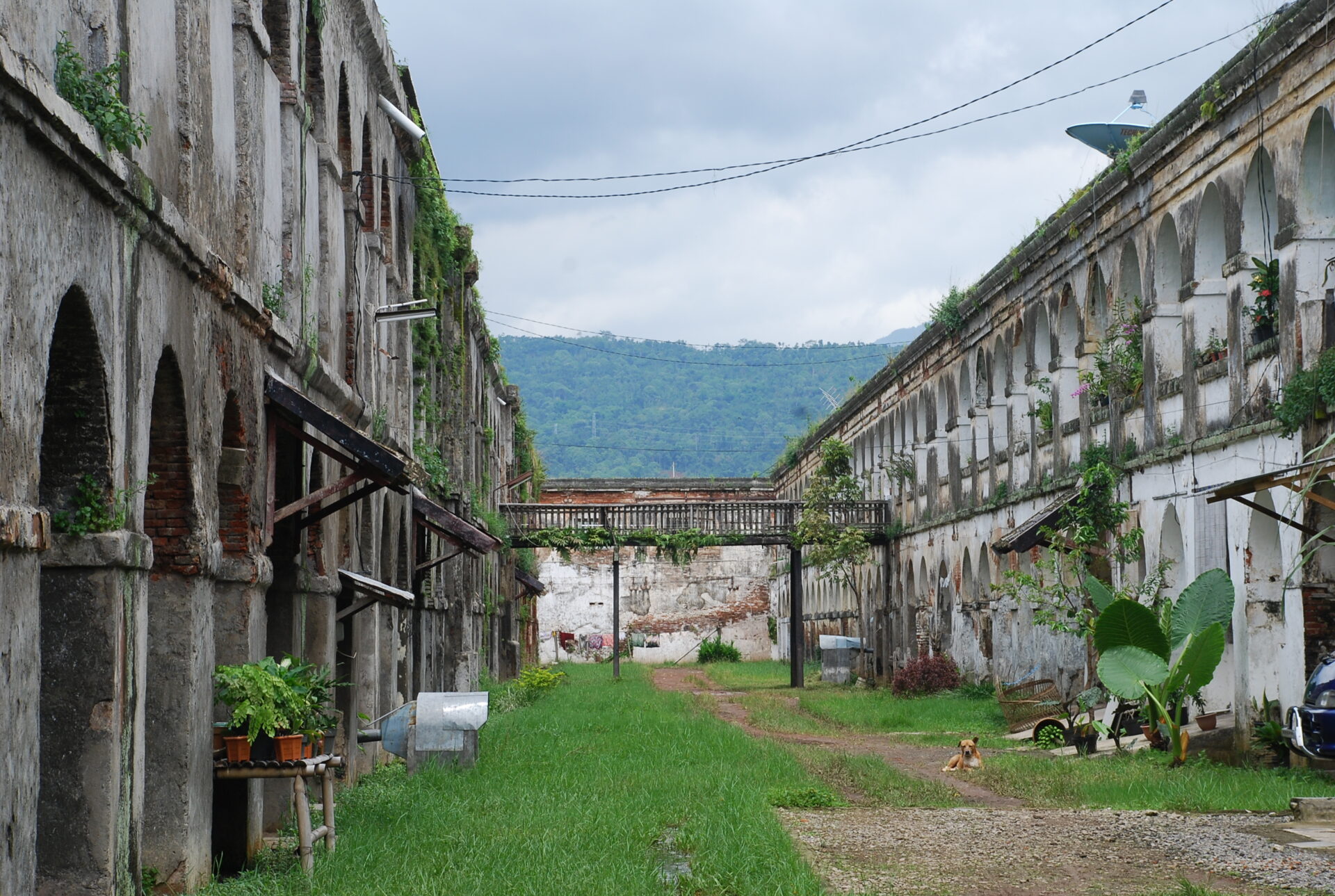Fakta Sejarah, Ternyata Desa Petambakan Banjarnegara Pernah Berjuang ...